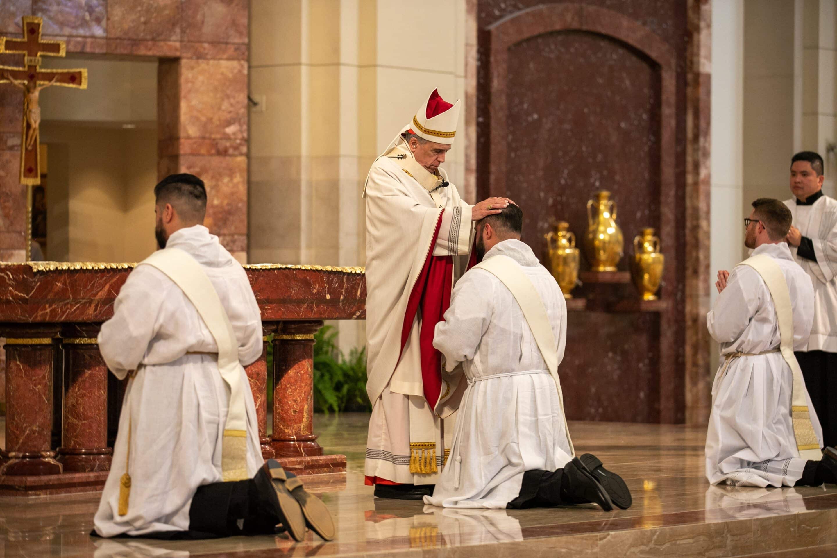 Un experto en vocaciones ve esperanza para las vocaciones sacerdotales ...